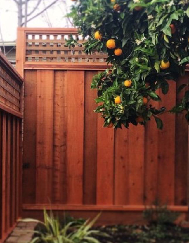 Redwood Fencing - The Lumber Baron | Redwood Lumber, Western Red Cedar ...